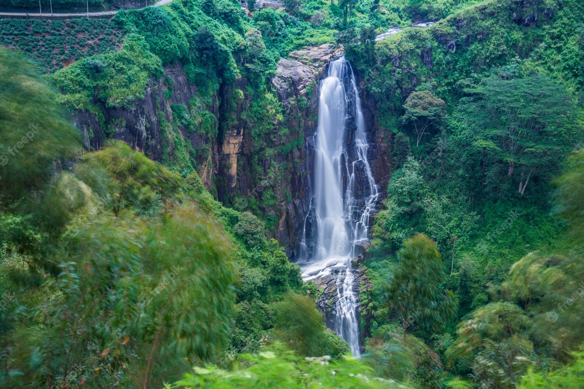 DEVON FALLS - Wathsala Inn